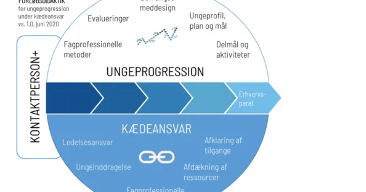 Den didaktiske models elementer - Ungeprogression og kædeansvar